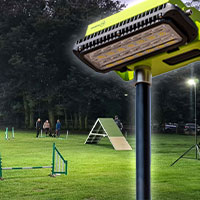 Portable LED training light for dog agility training